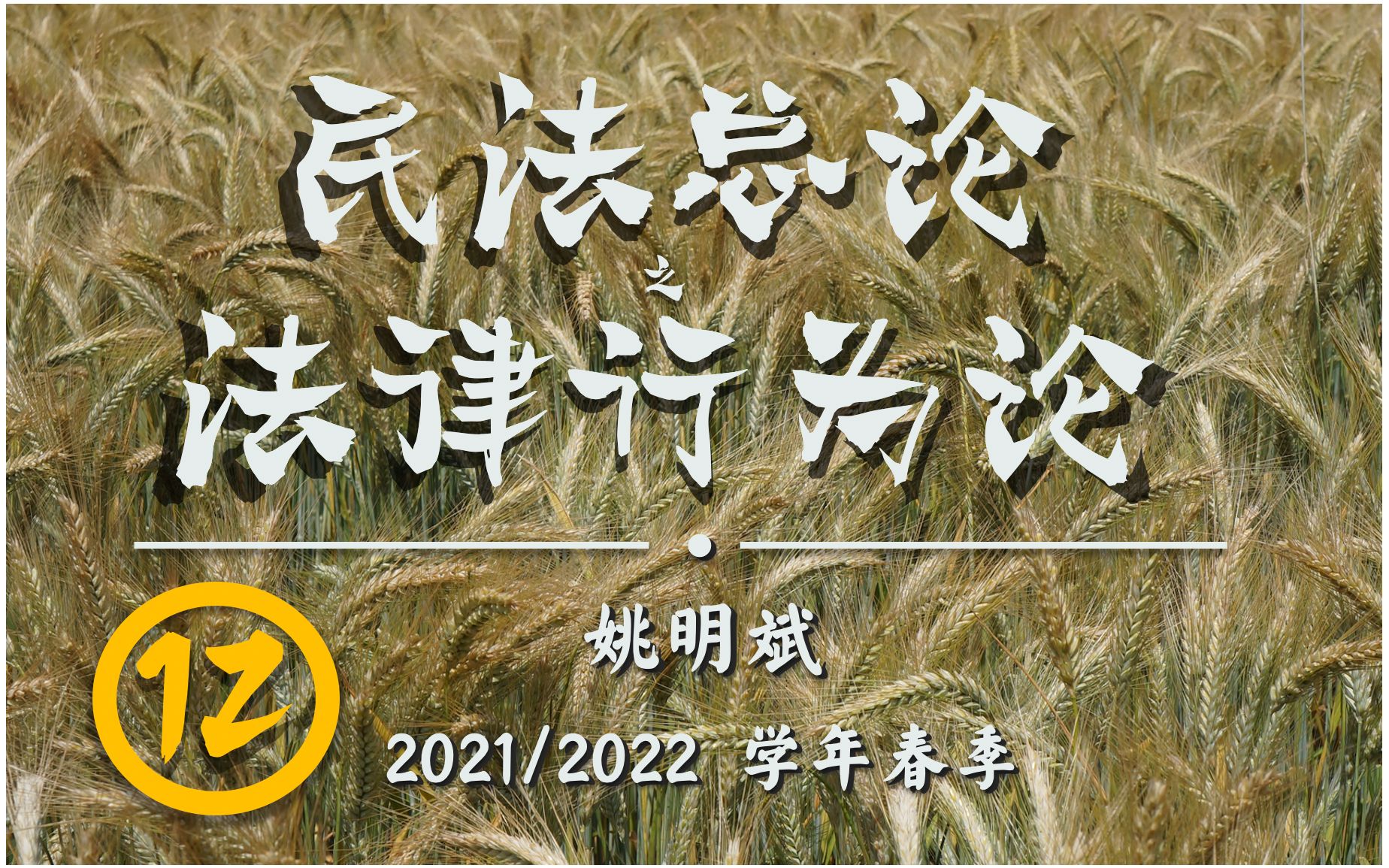 【民法总论·法律行为论】第12弹:真意保留、戏谑表示