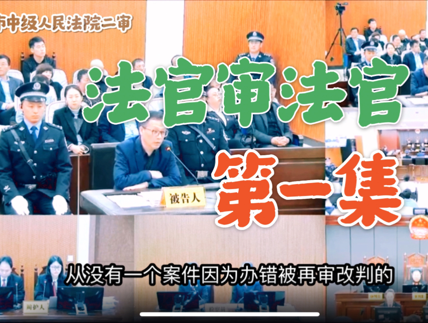 王成忠案二审庭审视频 | 法官自行辩护