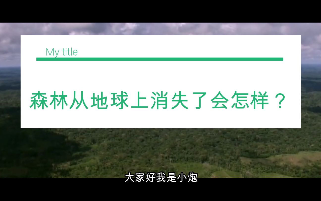 森林从地球上消失了会怎样?