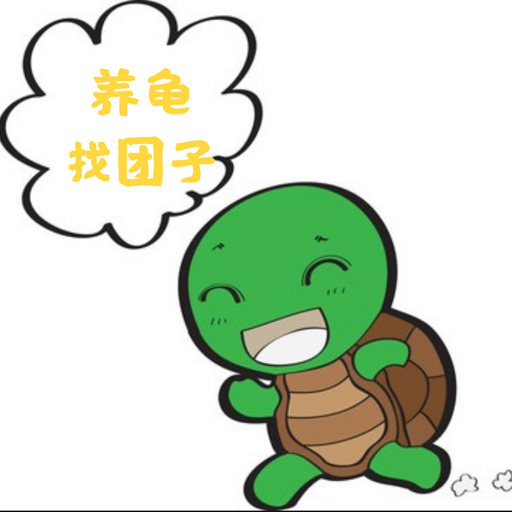 团子室内养龟 