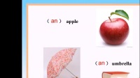 小学英语冠词a.an.the的用法