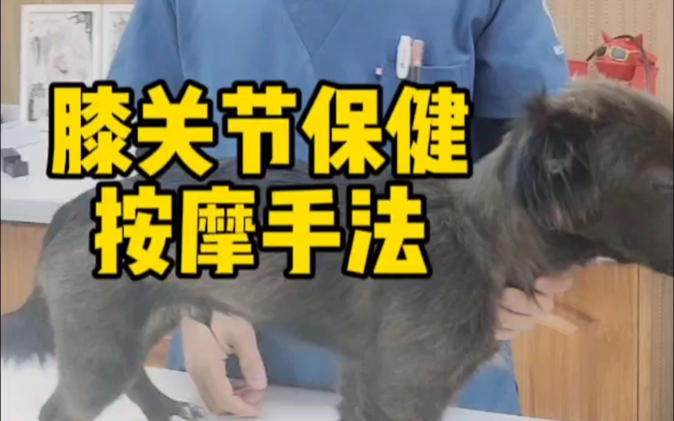 远离髌骨脱位,膝关节损伤,教你一套按摩手法,预防膝关节疾病。