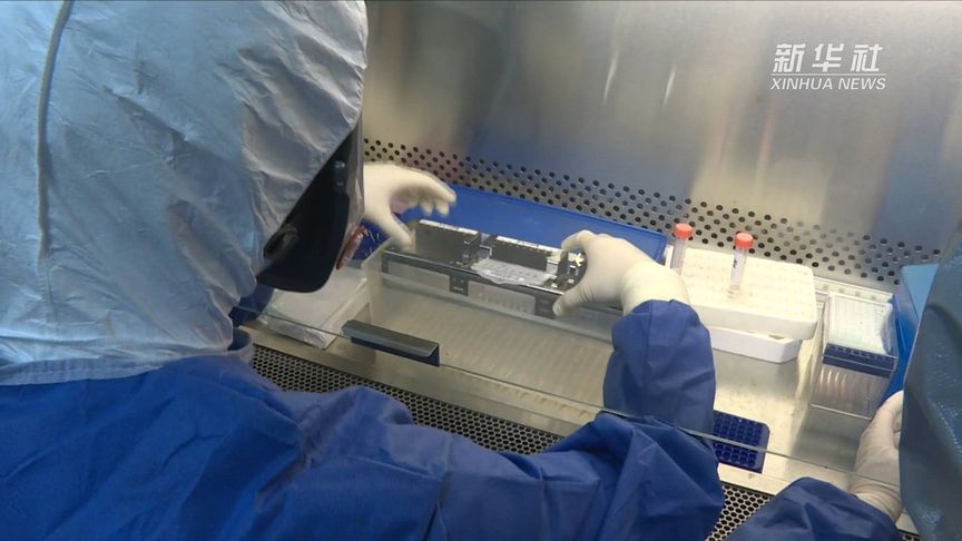 还原新冠病毒核酸检测全流程