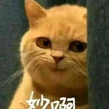 DNF寄风啊 