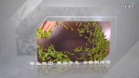 普宁(潮汕)茶业商会成立大会宣传片