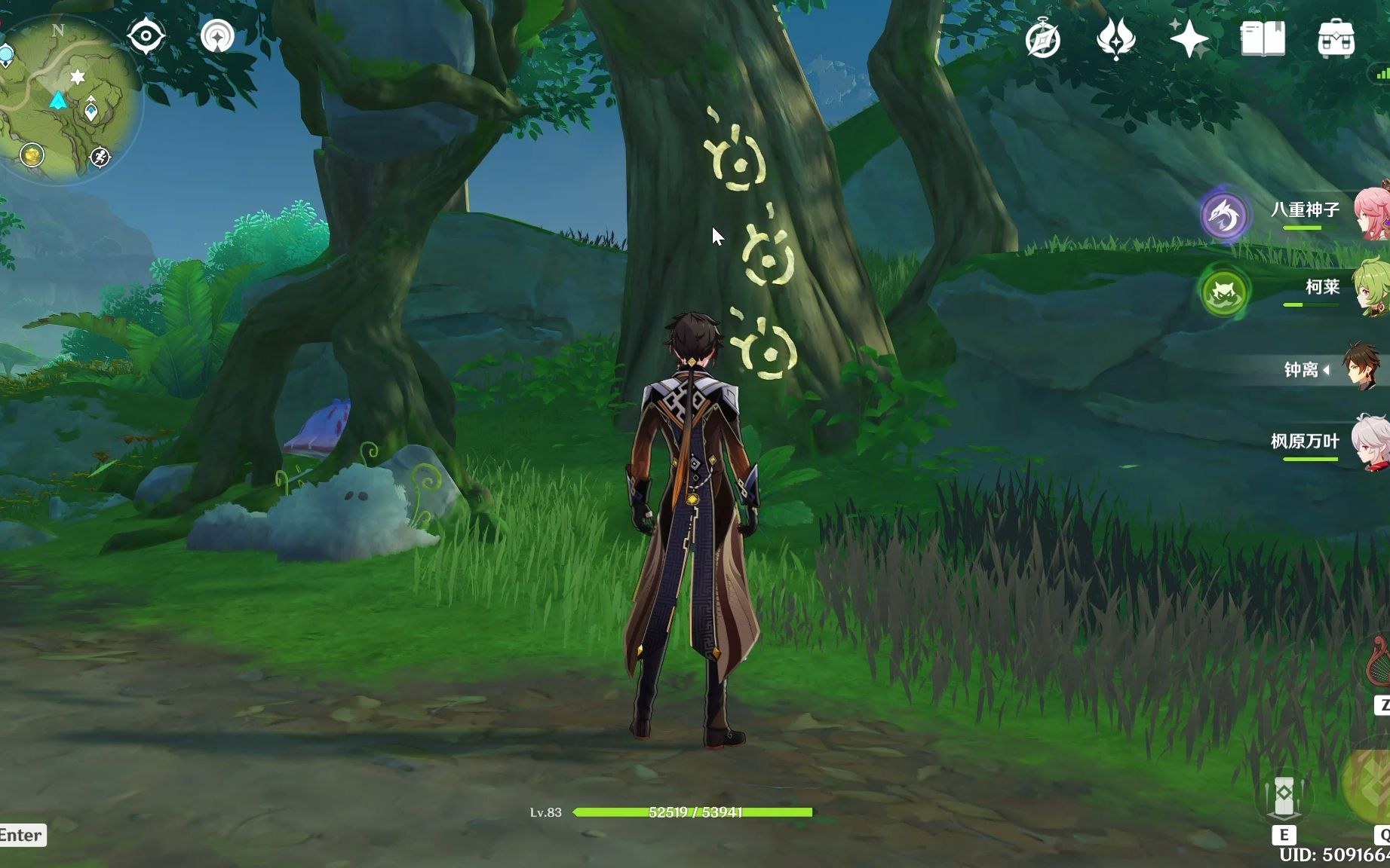 原神须弥二净甸隐藏宝箱,100探索度助力_手机游戏热门视频