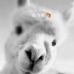 牧马静拍拍 