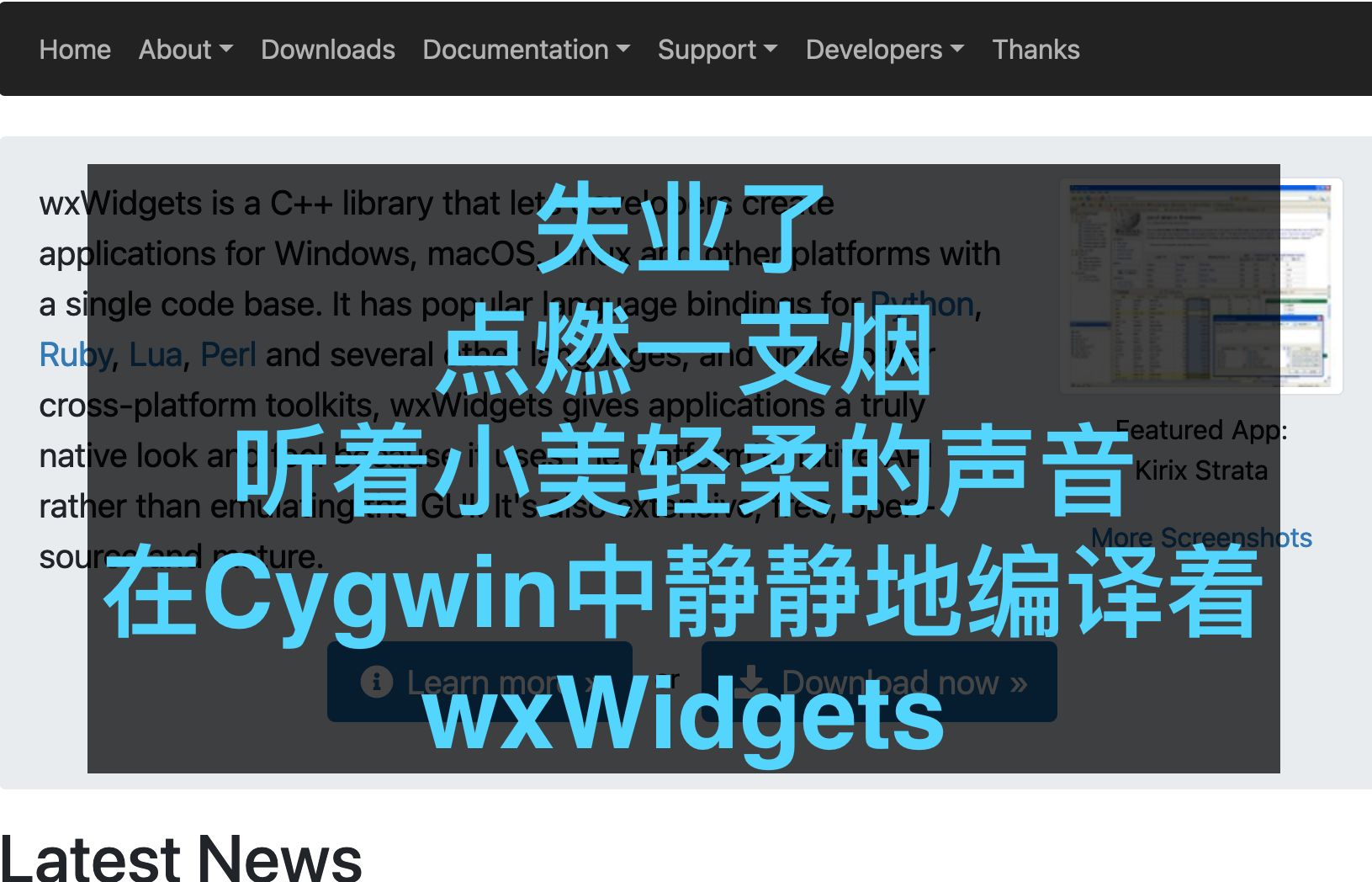 失业了,点燃一支烟,听着小美轻柔的声音,在Cygwin中静静地编译...