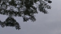 龟牌美容蜡撢子蜡汽车腊抛光除尘油拖把车用毯子液体手喷蜡上光蜡油