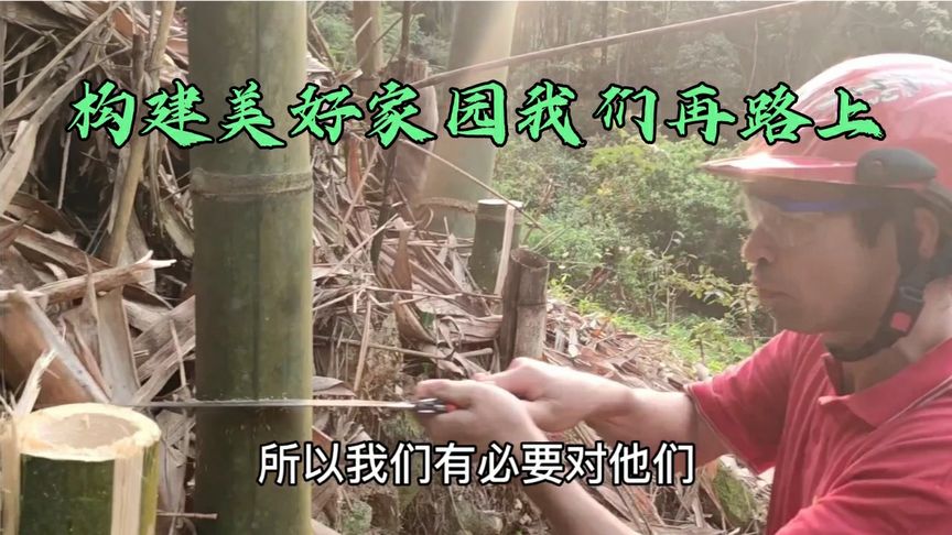 乡村振兴发展生态农业,宜居宜业可持续发展,产业得先行