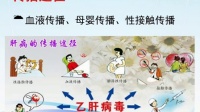 乙型肝炎病毒的传播途径与致病性