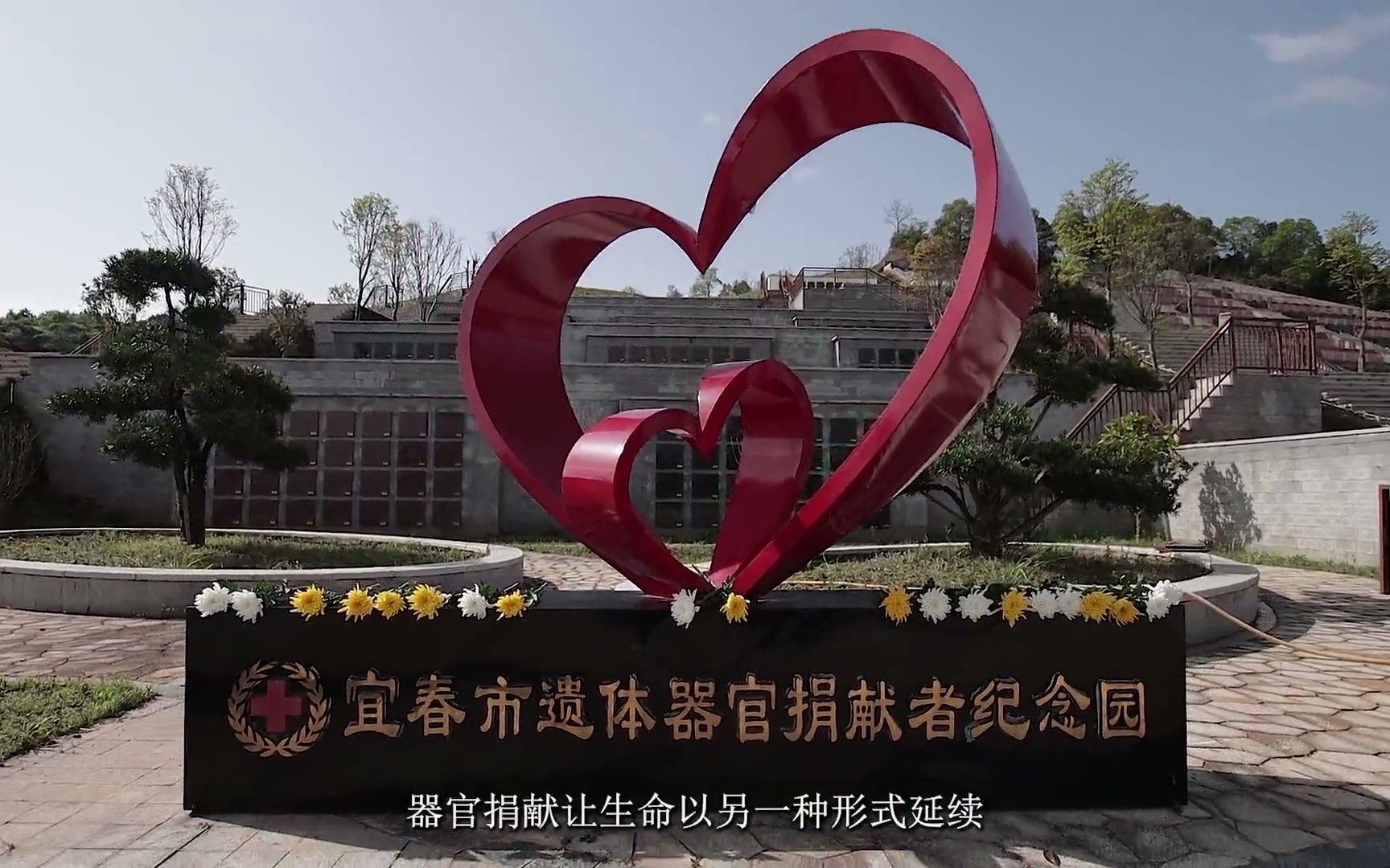 宜春市首部器官捐献公益宣传片《生命的意义》——宜春市袁州区...