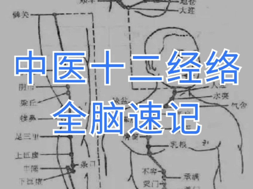 “中医十二经络”记不住?一个小妙招点通你