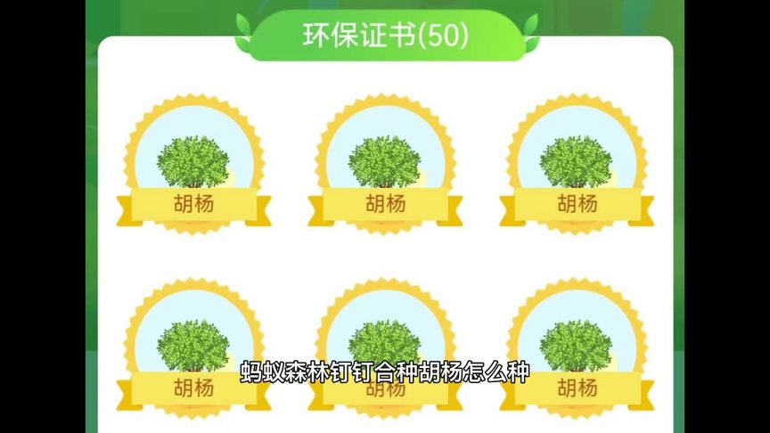 蚂蚁森林钉钉合种胡杨怎么种