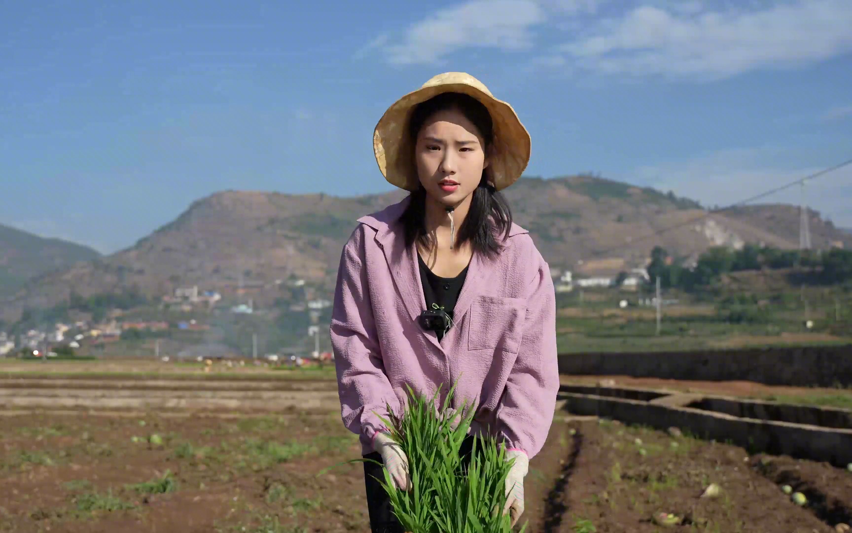 云南农村传统的水稻怎么种植的光脚下田打“秧粑坨”农忙太壮观