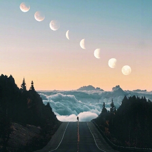 凤清月吟 