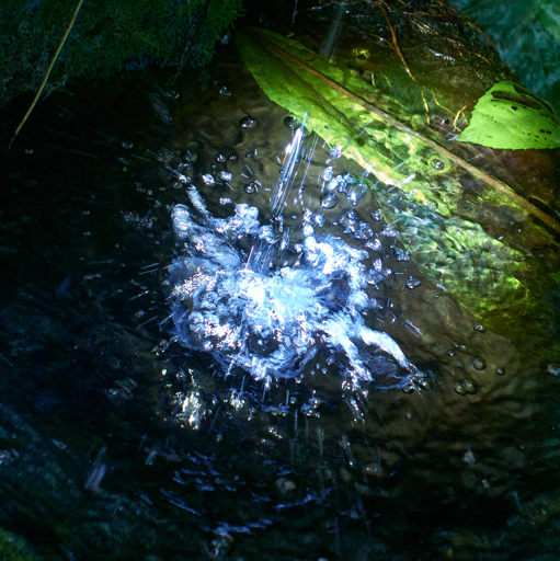 吹手书房-星宿塔罗 