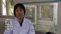 你知道吗?蚕宝宝的便便竟有这么大作用