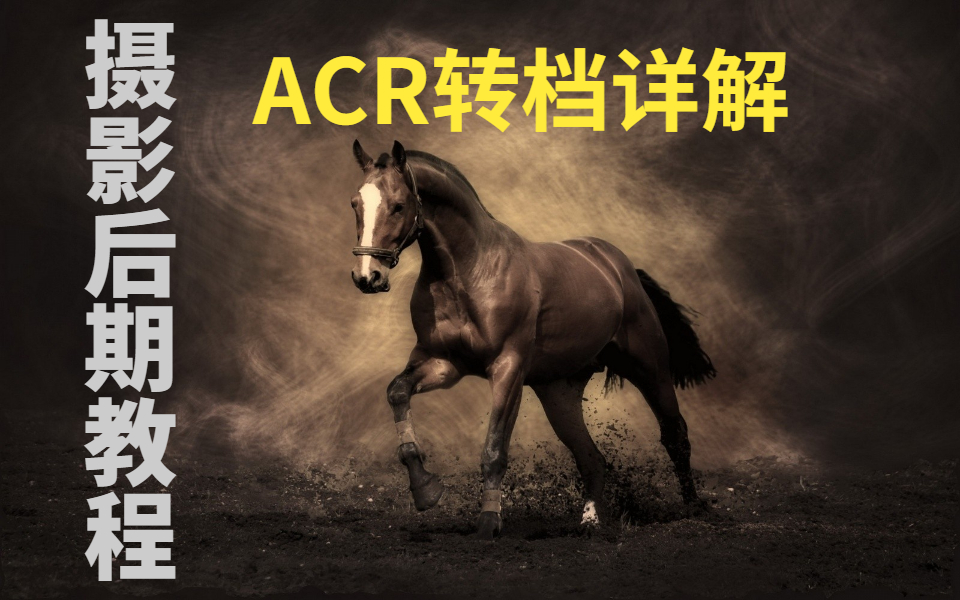 摄影后期教程丨PS后期教程之一如何使用Camera Raw转档调色详解