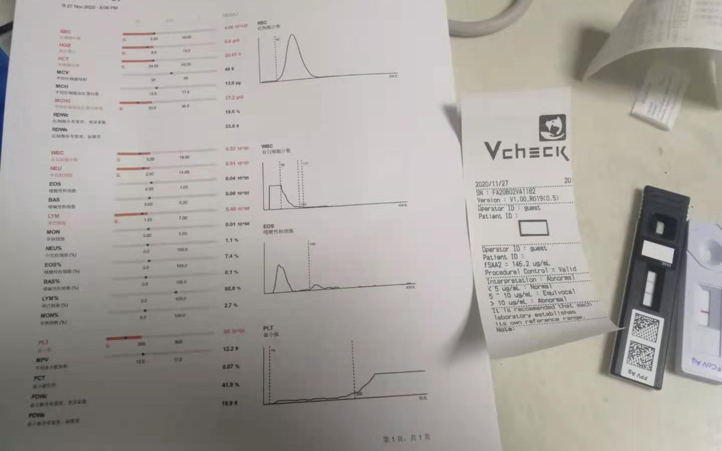 优宠熊上买到一只有猫瘟的猫是什么体验