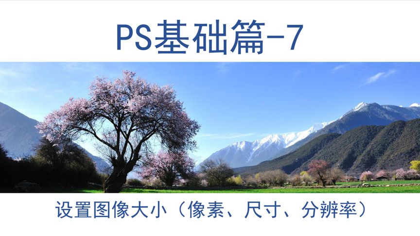 ps基础篇-7,设置图像大小(像素、尺寸、分辨率) 学浪计划