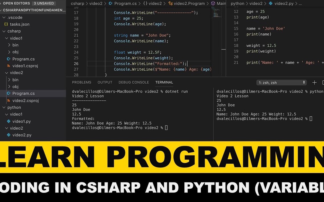 学习编程基础——如何在c#和Python中声明变量? 2