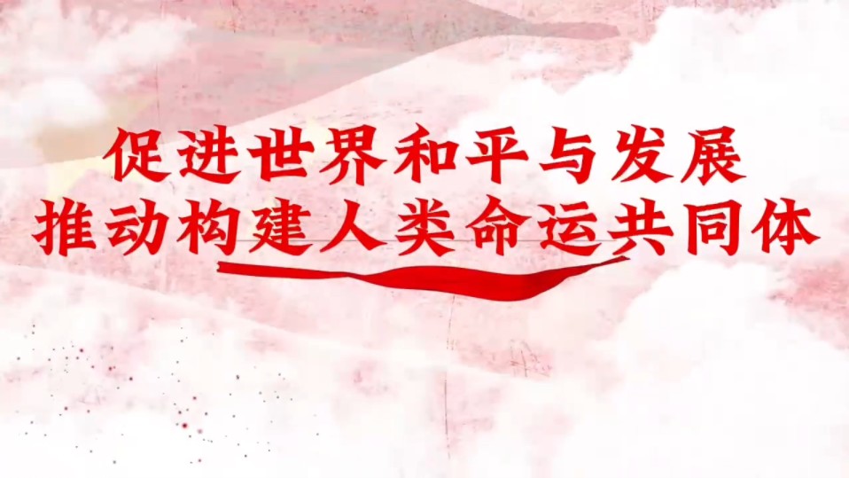 习概论实践周 微电影《促进世界和平与发展,推动构建人类命运共同体》