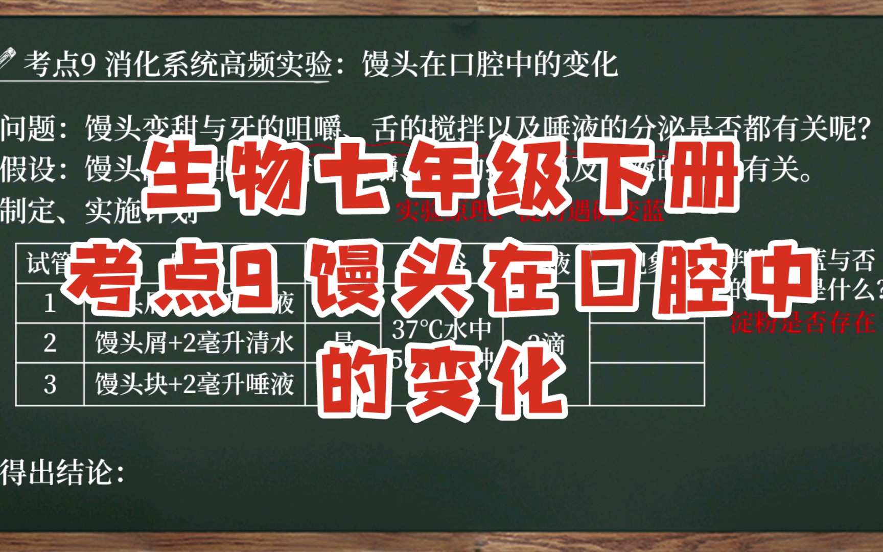【初中生物全考点讲解|七下】考点9 重点实验:馒头在口腔中的变化