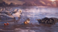 【皮克斯动画短片】《鹬》piper 2016【1080p】