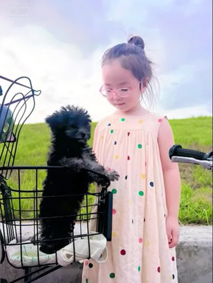 狗界容不下它了,去猫界混了#AI一键生成漫画照片 #AI让我看到了有光...