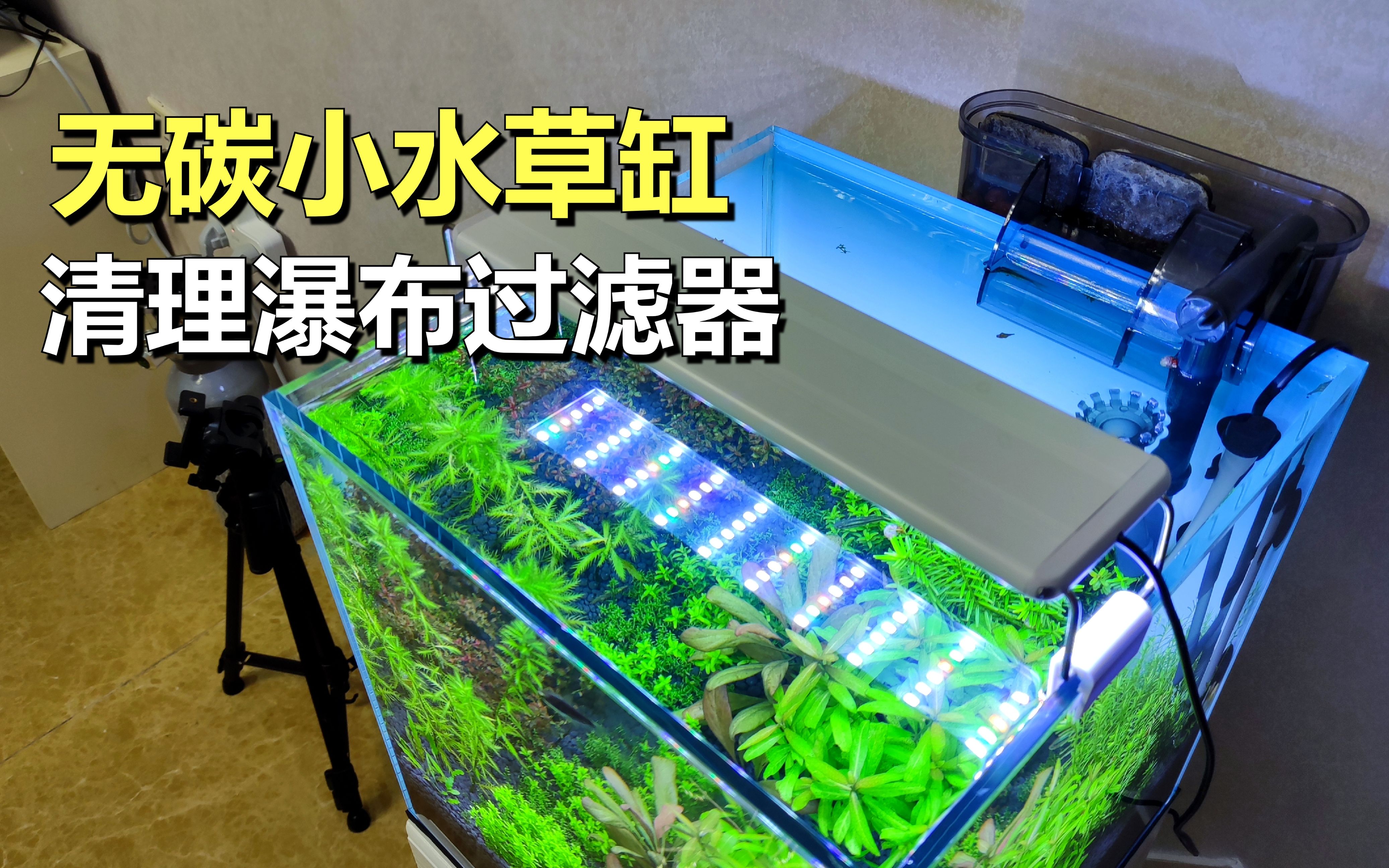 小水草缸清洗瀑布过滤器,石英中空球滤材太适合小缸过滤了