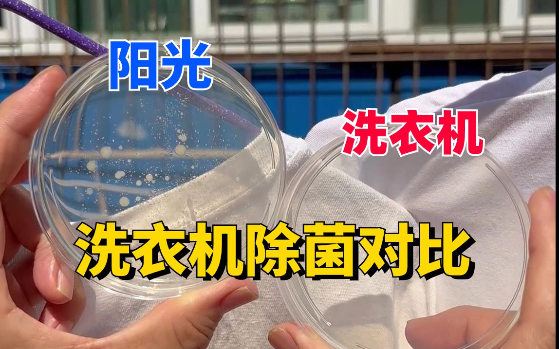 洗衣机真的能除菌吗?那阳光晾晒呢?结果你很难想象!