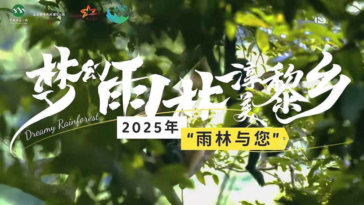 2025年"雨林与您"体验活动开幕式实景演出将于11月29日16:00在昌江...
