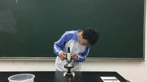 【实验教学参考】用显微镜观察小鱼尾鳍内血液的流动