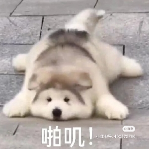 踩碎天空 