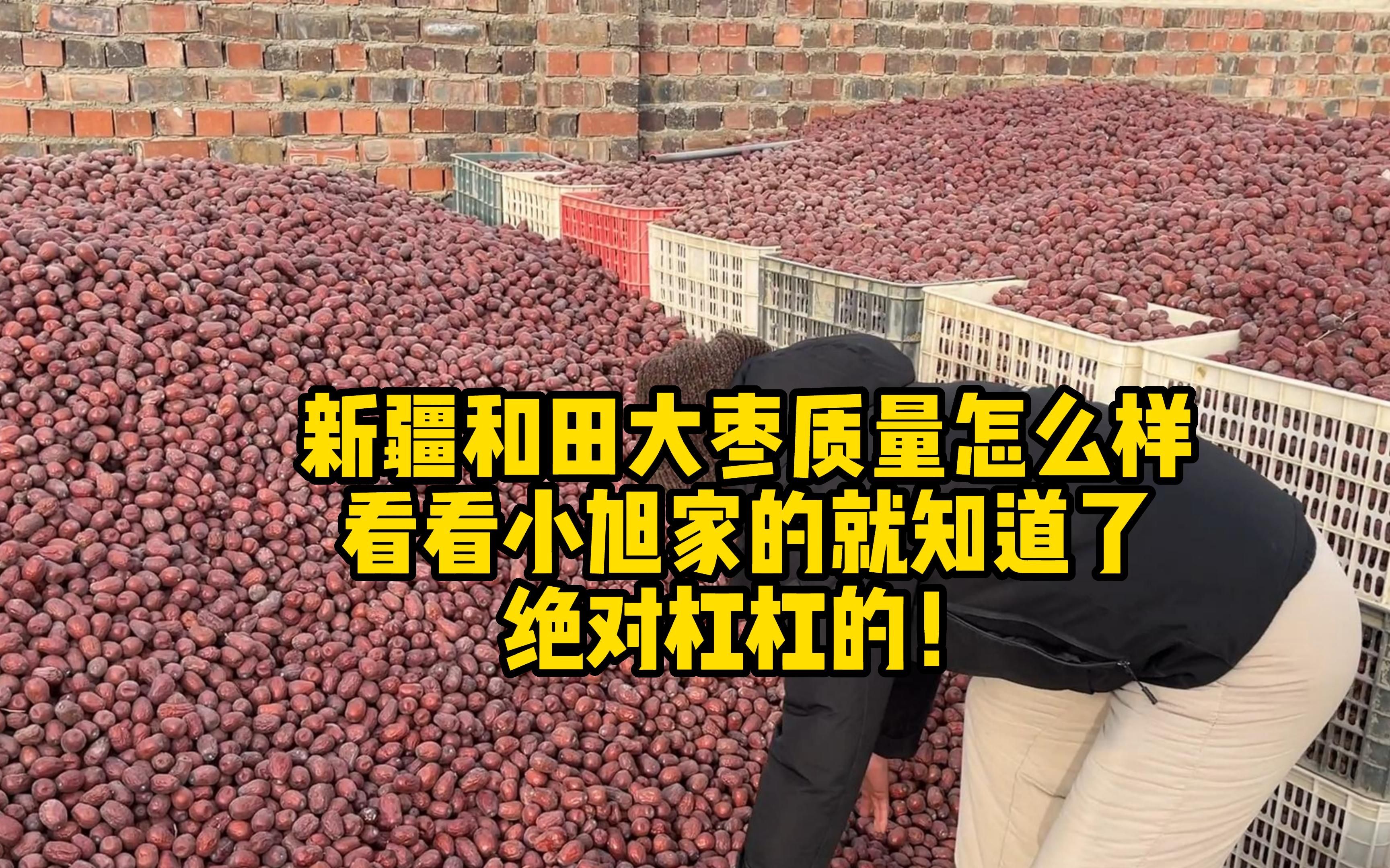 新疆和田大枣质量怎么样 看看小旭家的就知道了绝对杠杠的!