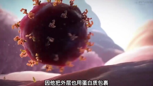 当病毒攻击你,看体内的反应