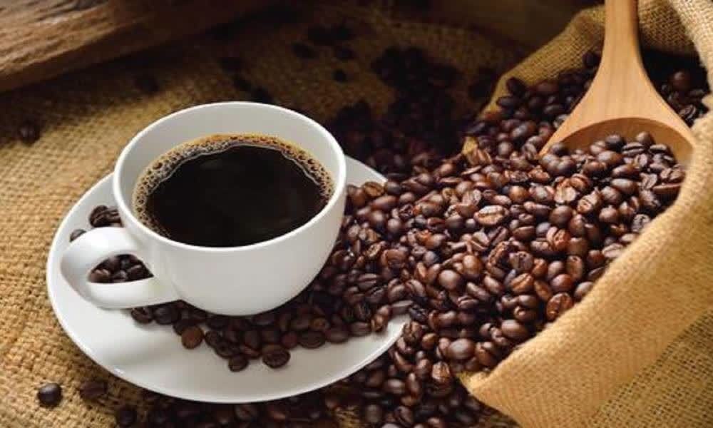 猫屎咖啡是怎么来的?背后却是猫悲惨的一生,看完你还忍心喝吗!