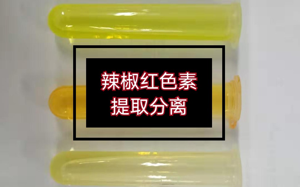 【生化分离实验】辣椒红色素提取分离