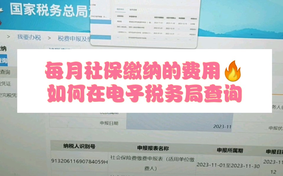 每月申报的社保费如何在电子税务局里面查询