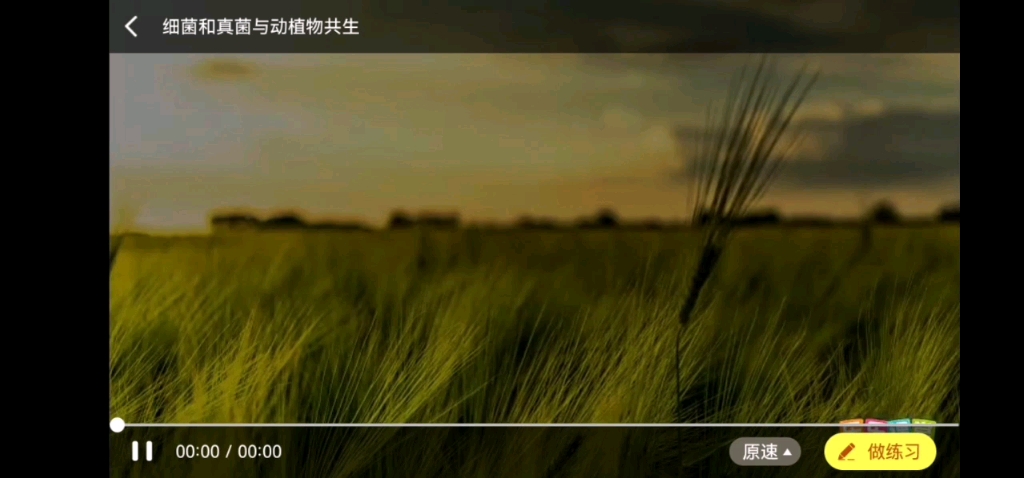 细菌和真菌与动植物共生