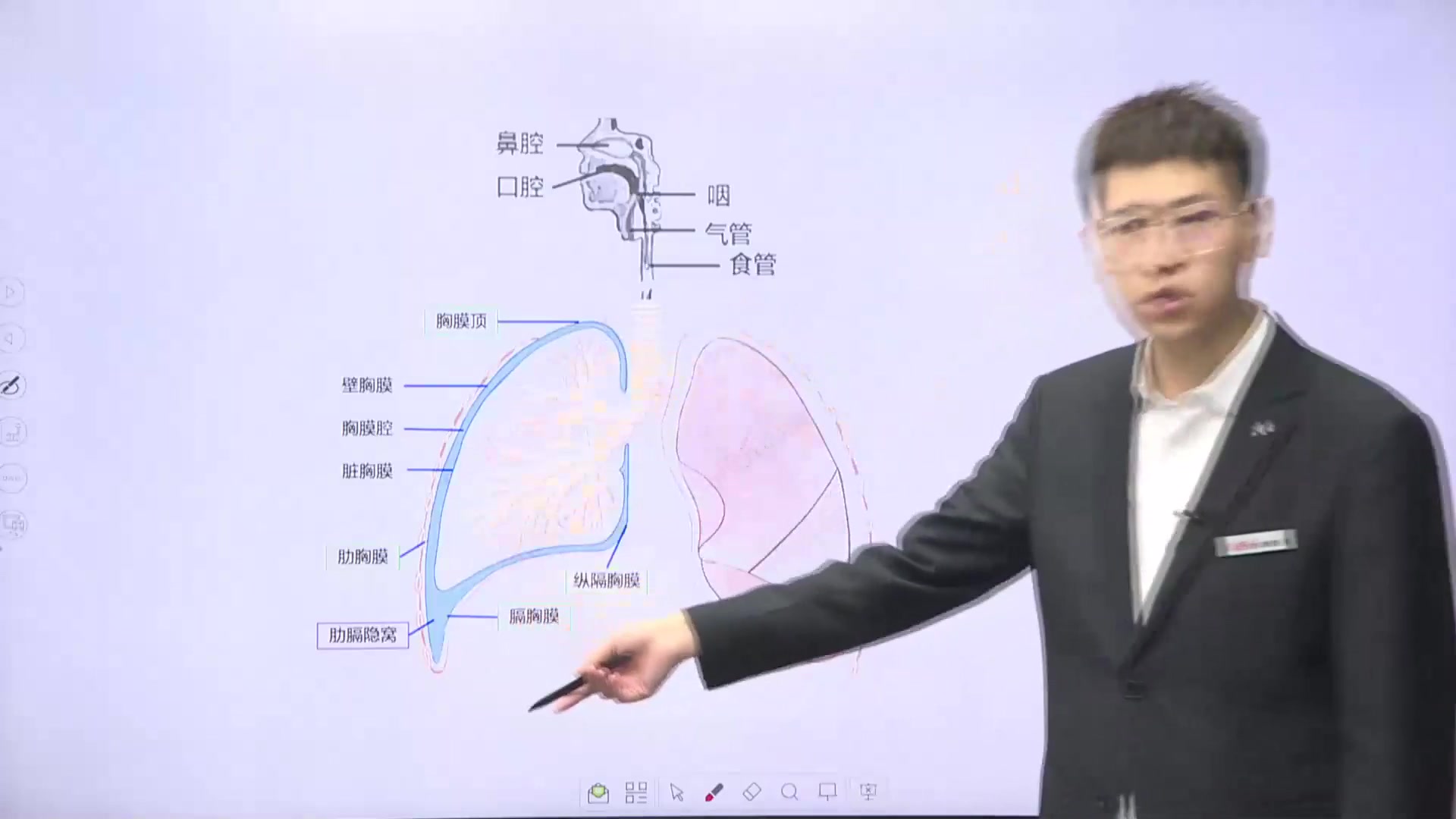 2024医疗卫生招聘考试-临床医学专业知识-医疗卫生事业单位招聘笔试