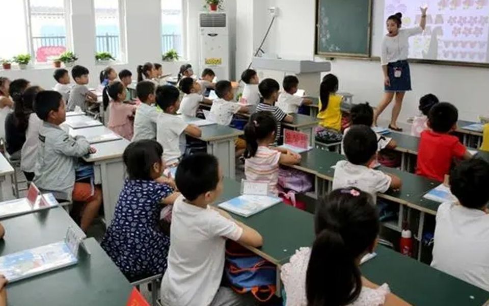 票选政治生态演化过程的极简模型——以小学干部选任为例 | 回锅冷饭