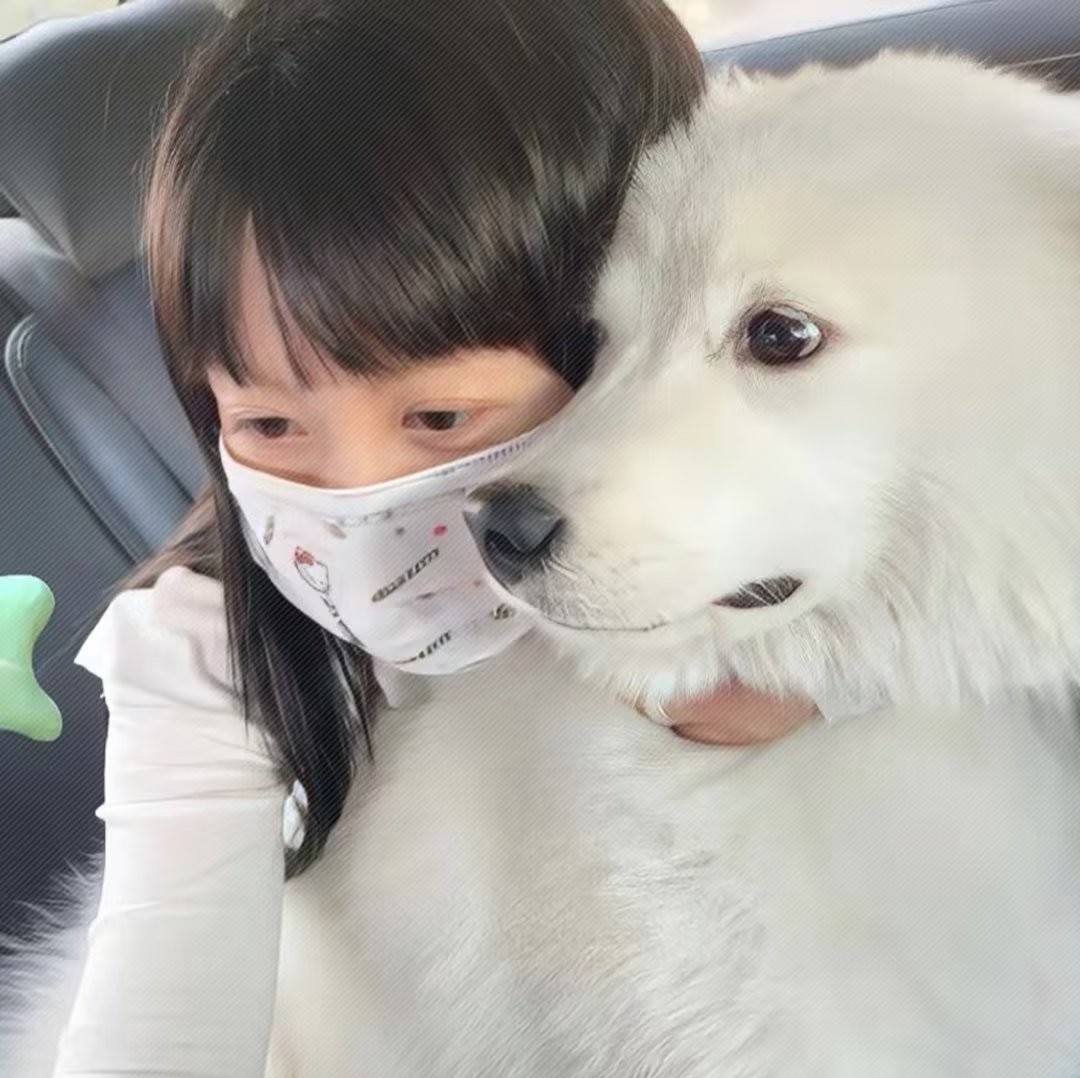 博学历史汇呀 