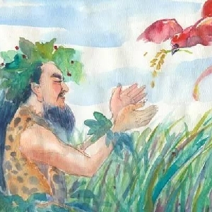 百草郎中 