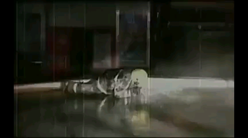 学校消防教育视频