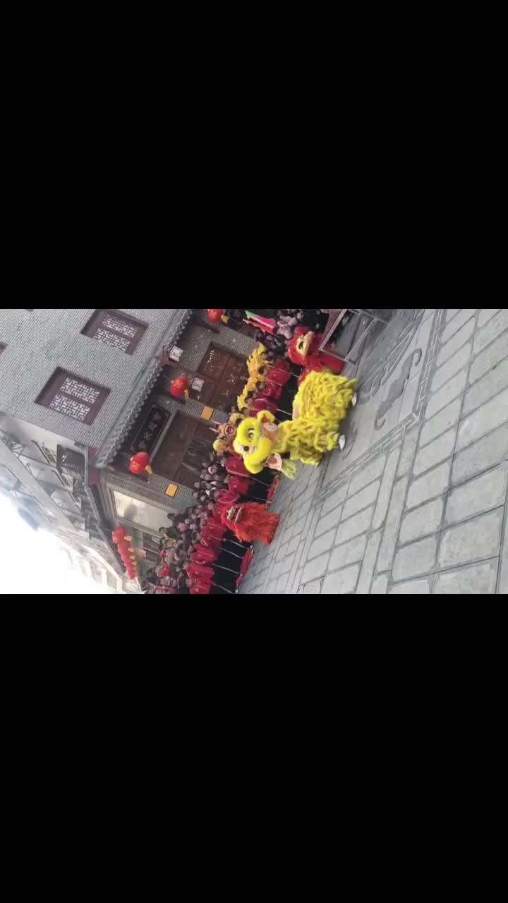 【“龙腾狮跃”贺新春·2022年全国龙狮网络大联动优秀作品展播】...