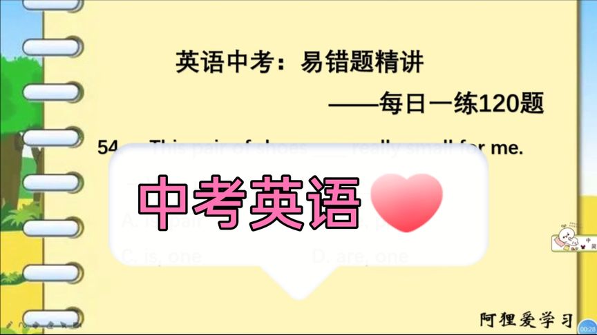 中考英语易错题,pair的用法,一道题让你记住它