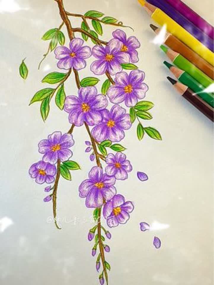 ...这款小花花你一定学得会! #简易花草画法 #简笔画 #儿童画 #彩铅手绘