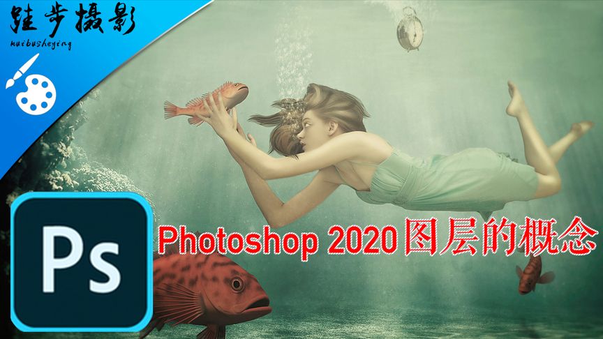 05:PS图层的概念 photoshop 2020入门到精通视频教程PS教程